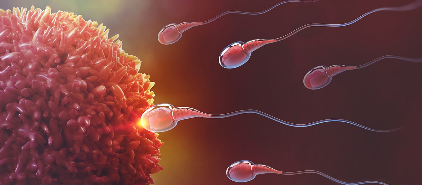 Layanan Mesa Pesa Tesa And Tese Jakarta Ciputra Ivf