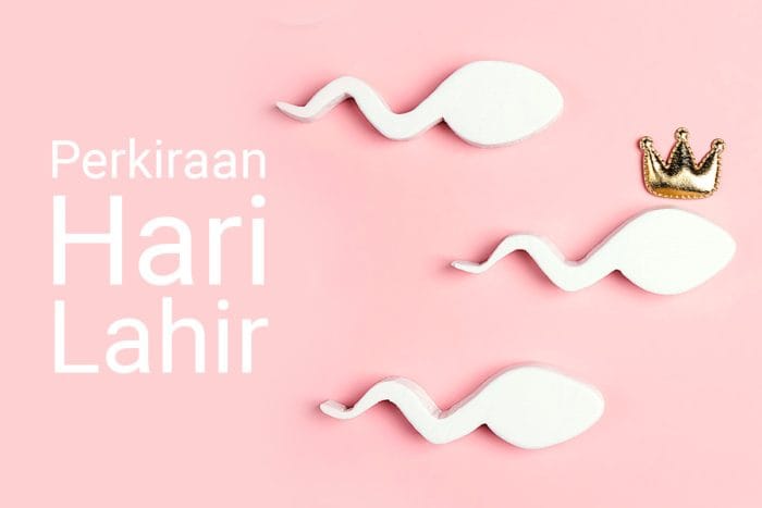 Kalkulator Hari Perkiraan Lahir (HPL) - Ciputra IVF